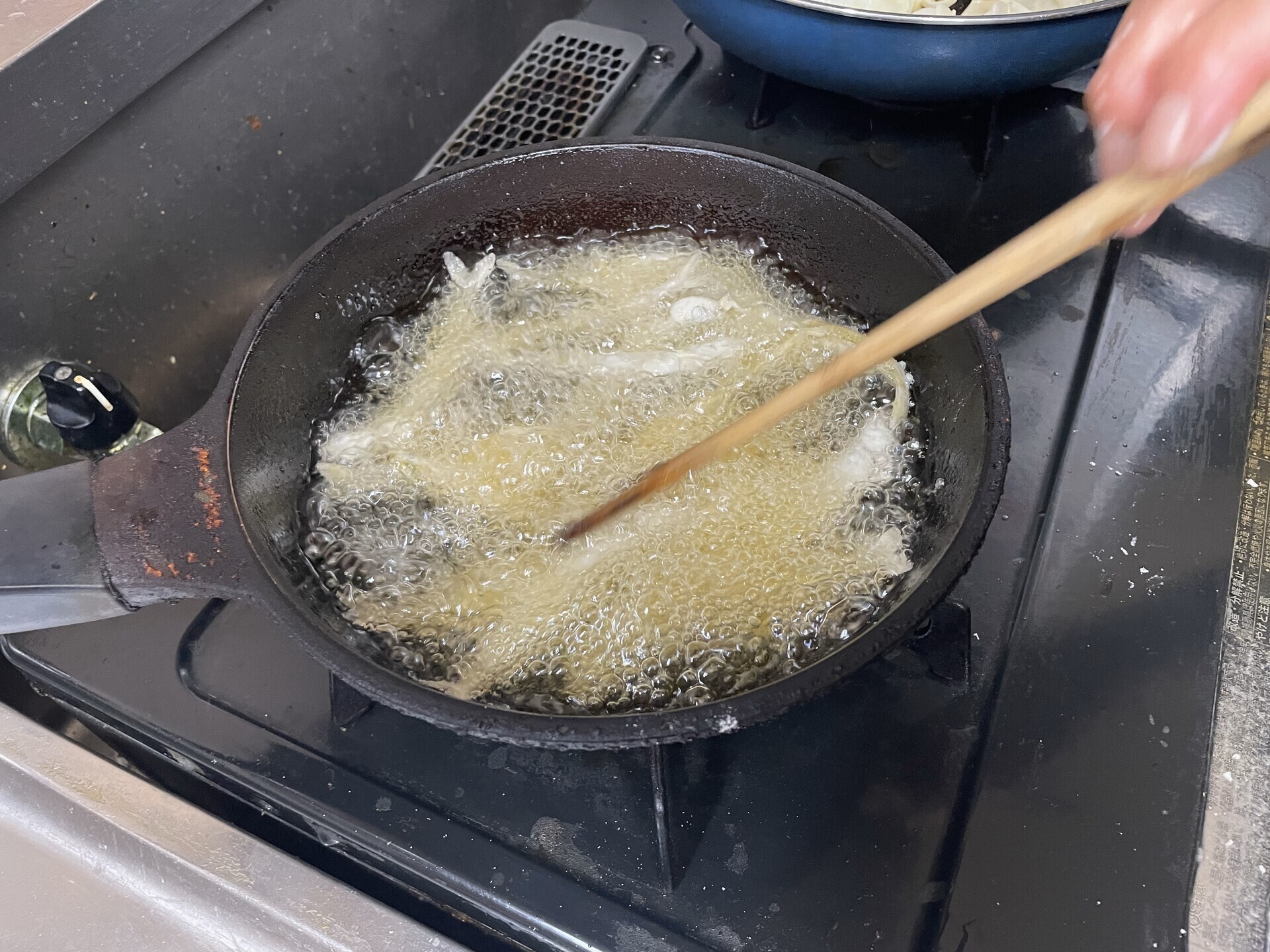 ボートわかさぎ釣り＠相模湖天狗岩: 釣りブログ ”海と川のリソース”